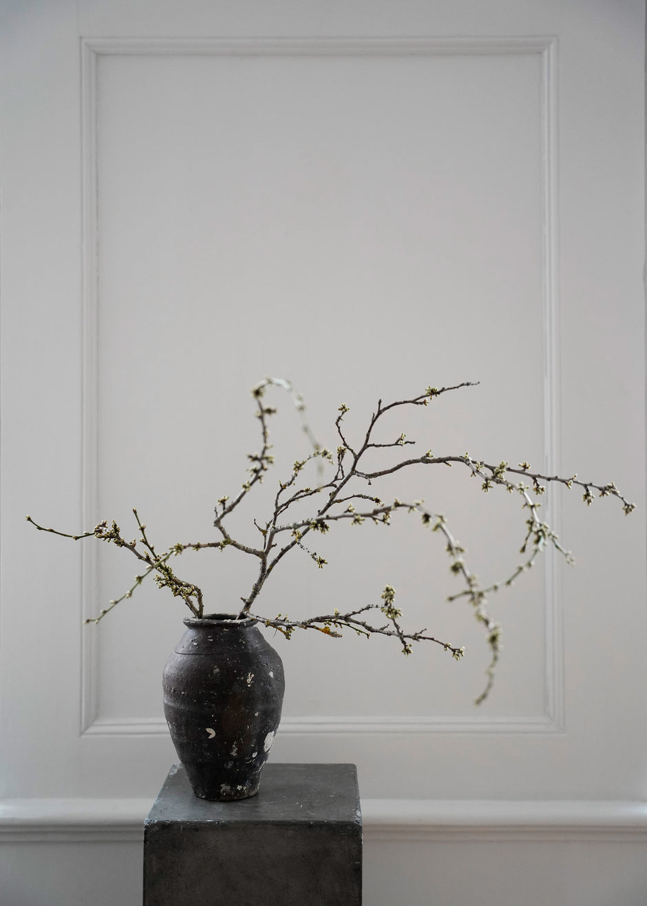 Vases & Jars – Studio Oliver Gustav